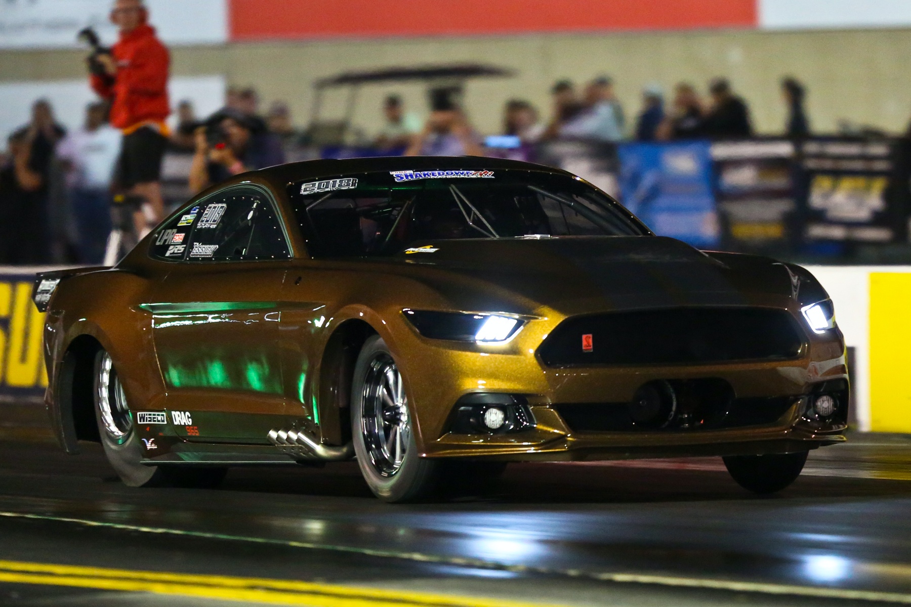 Rini, Tanner, Pluchino, Stewart, Essick and Whetstine Find Winner’s ...