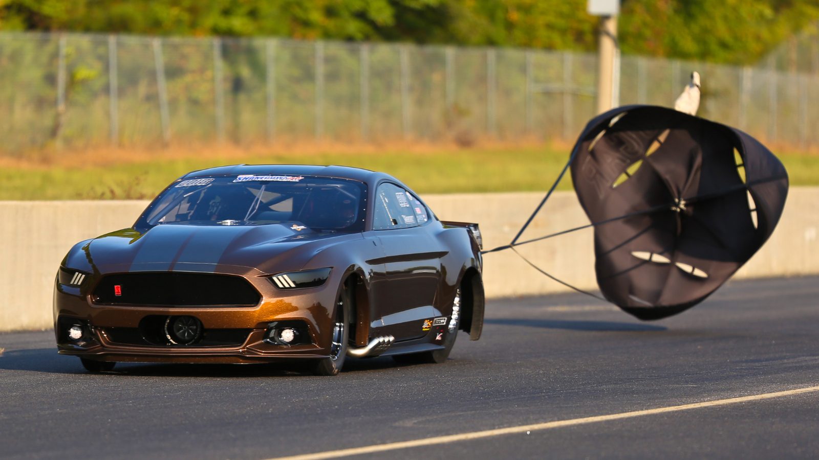 GALLERY: Shakedown Nationals Elimination Day at Virginia Motorsports ...