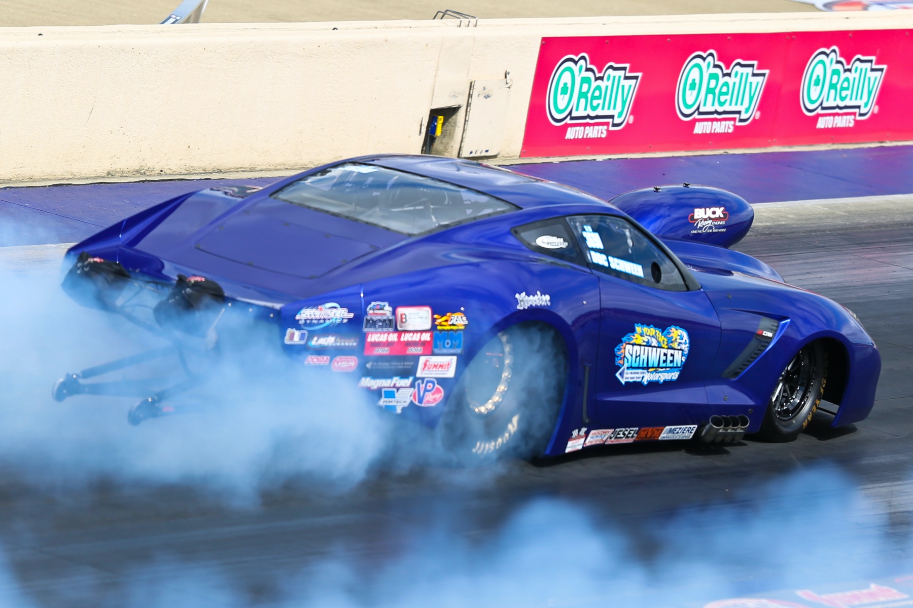 Just What The Doctor Ordered: Chris Nyerges and Dr. Gary Schween’s ...